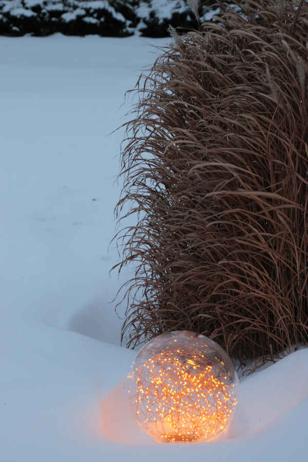 Firefly Series - Attraction Lights